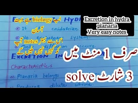 Excretion in hydra planaria | Protonephridium | Flame Cell | Class 12 ...