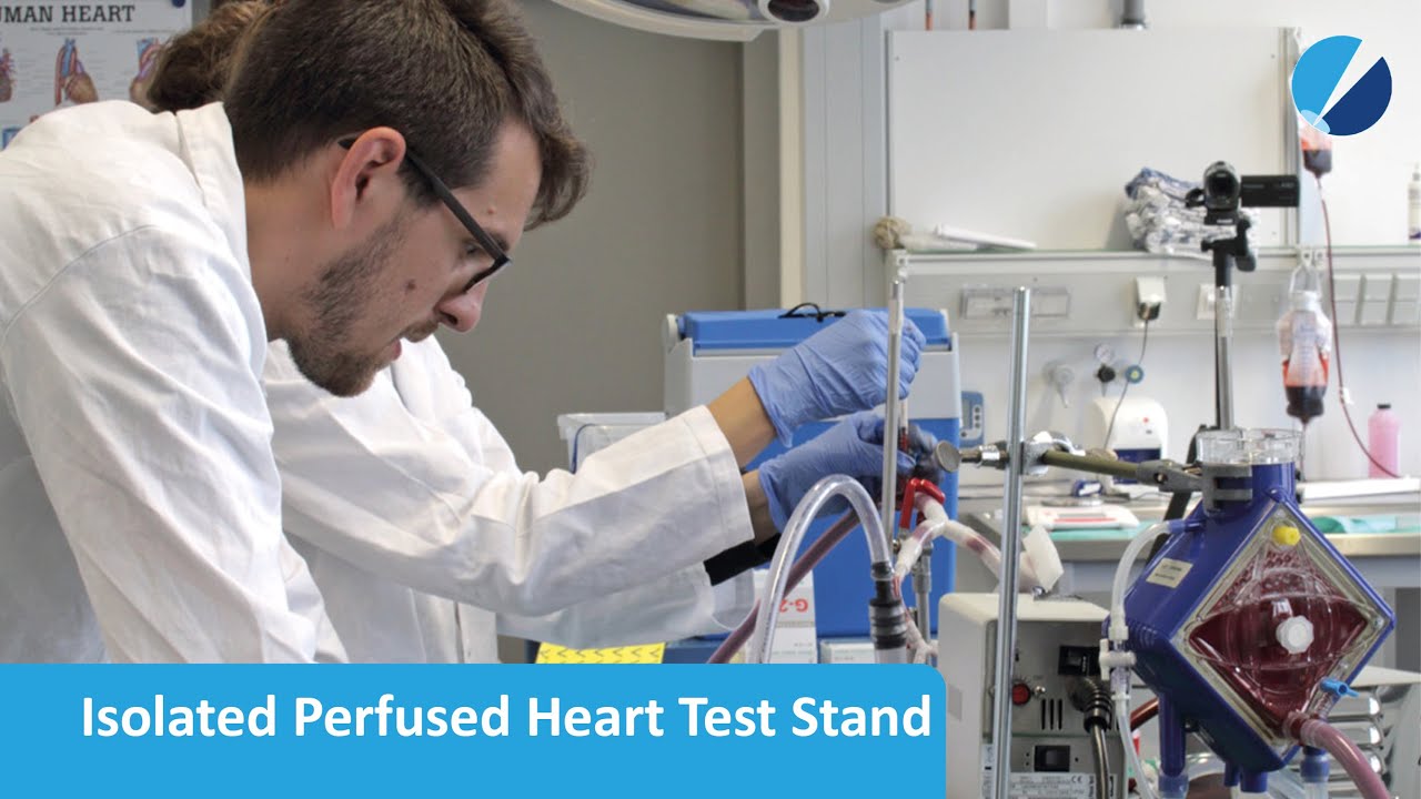 Isolated Perfused Heart Test Stand - YouTube