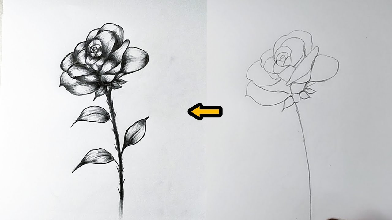 how to draw a rose flower simple ||easy rose flower drawing - YouTube