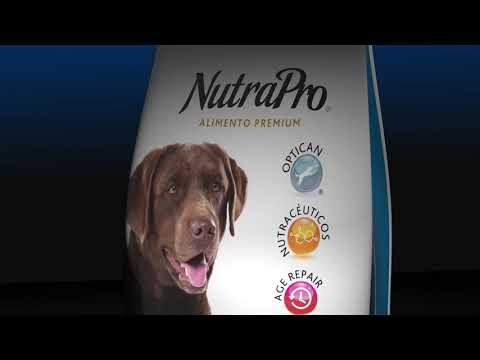 Nutrapro nueva imagen - YouTube