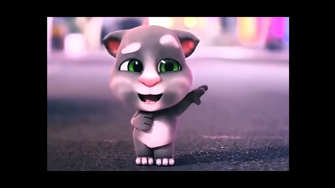 Tik Tok TALKING TOM Summer Talking TomDancing Cute Baby Tom/Dancer Tom ...