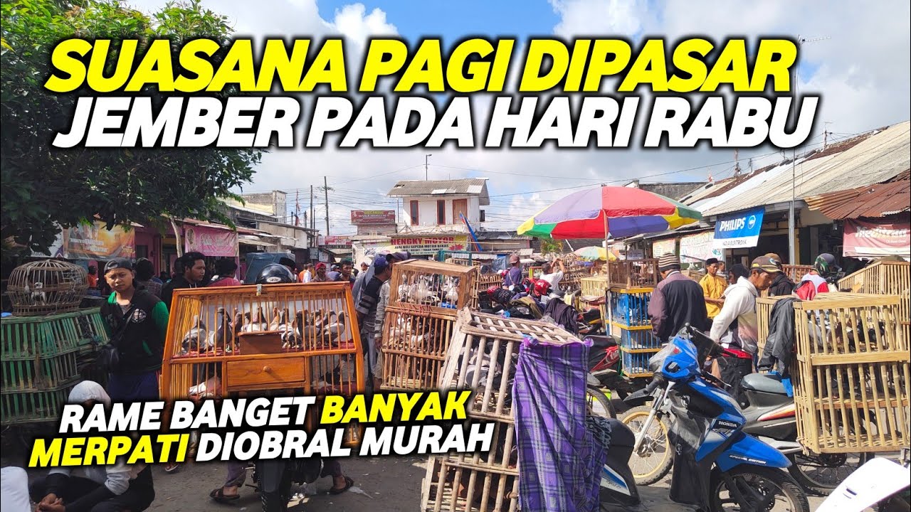 🛑RAME BANGET PASAR JEMBER KALI INI || YANG PENASARAN LANGSUNG MAMPIR ...