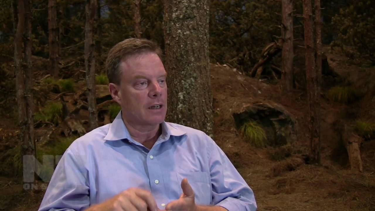 Screentalk: Rob Tapert on NZ On Screen (part 1/2) - YouTube