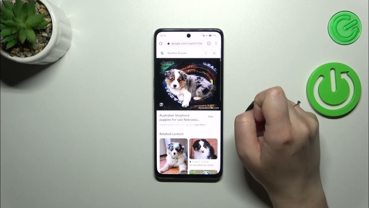 How to Delete Browse History on OPPO A98 - Clear Browser Data - YouTube