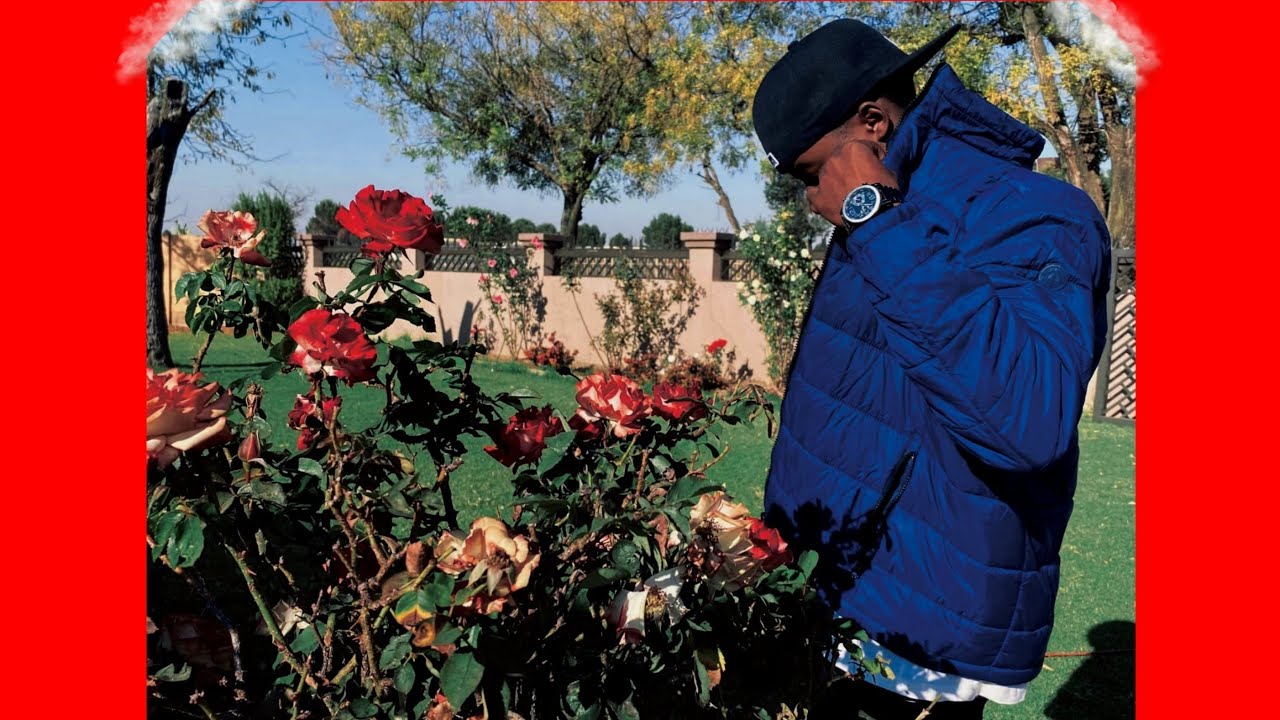 Lil Molley RSA - TILL I D.I.E. (Interlude) [Official Audio] - YouTube Music