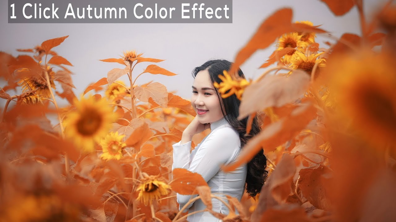 How To Make Autumn Color Effect In Photoshop Just 1 Minute | Autumn ...