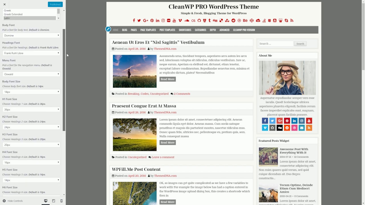 Customizer Theme Options - CleanWP PRO WordPress Theme - YouTube