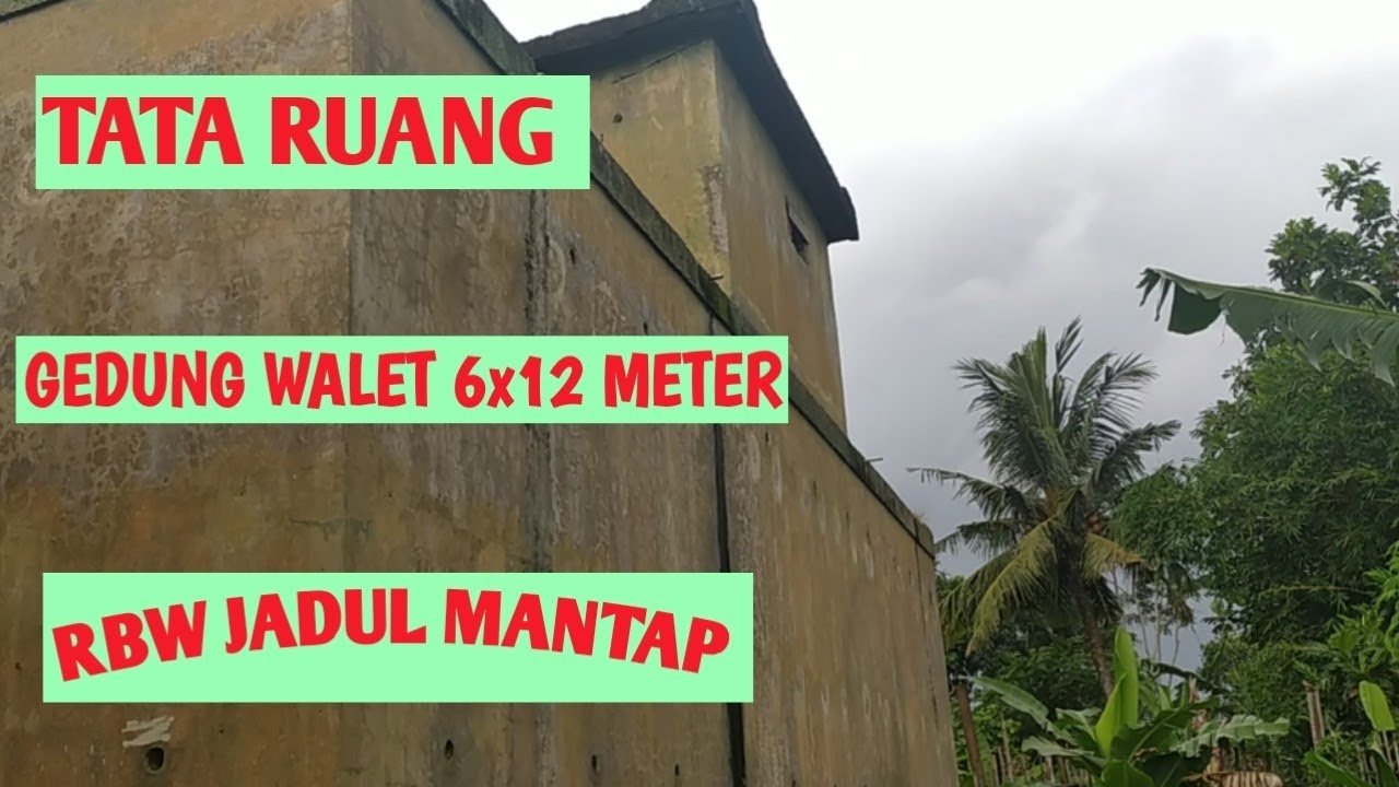 TATA RUANG GEDUNG WALET UKURAN 6X12 TANPA SEKAT - YouTube