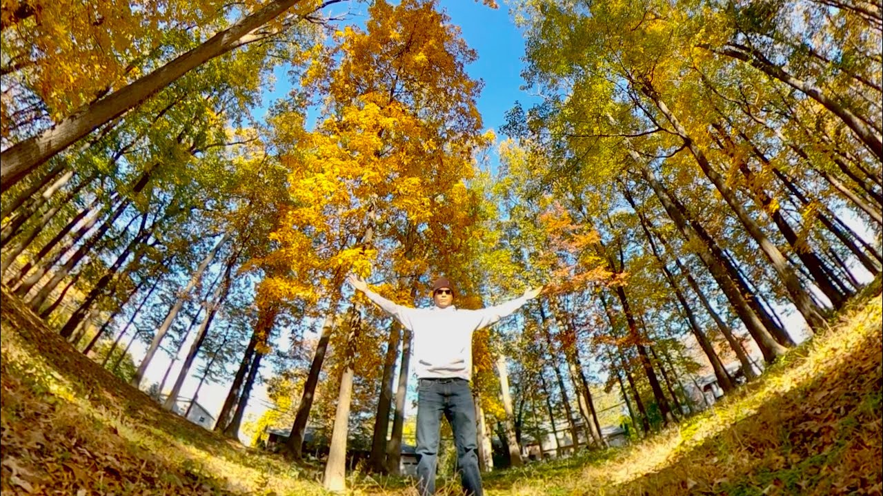 Late Autumn Walk - YouTube
