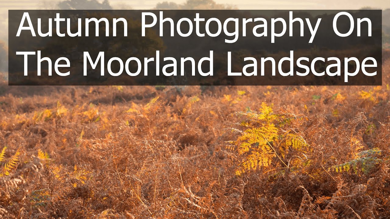 Photographing The Autumn Moorland Colour - YouTube