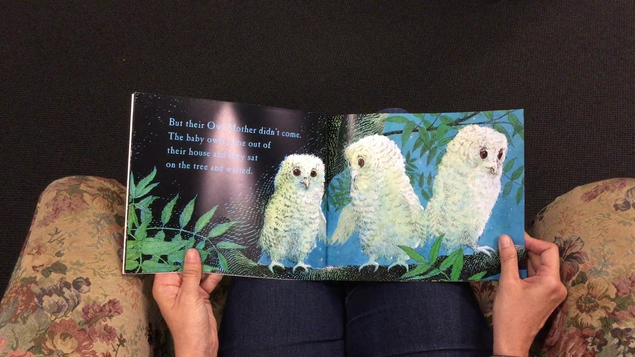 Owl Babies YouTube owl-babies-youtube