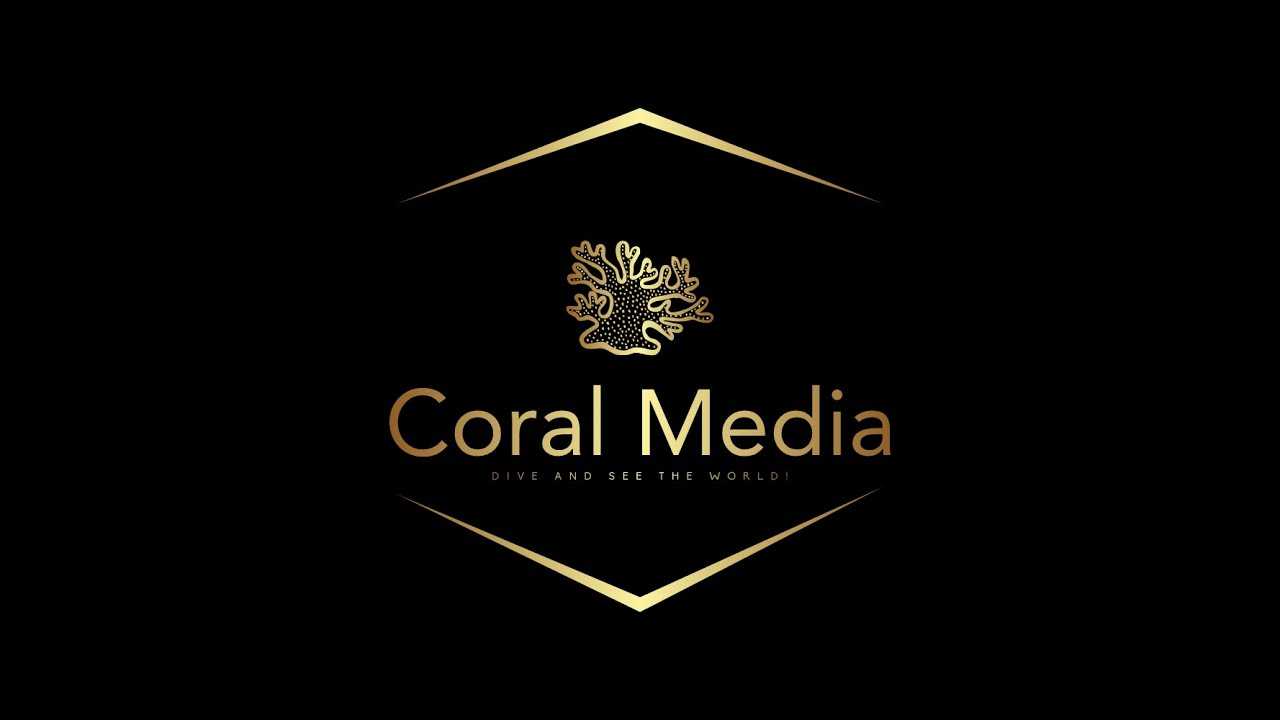 Promotional Video Of Coral Media - YouTube