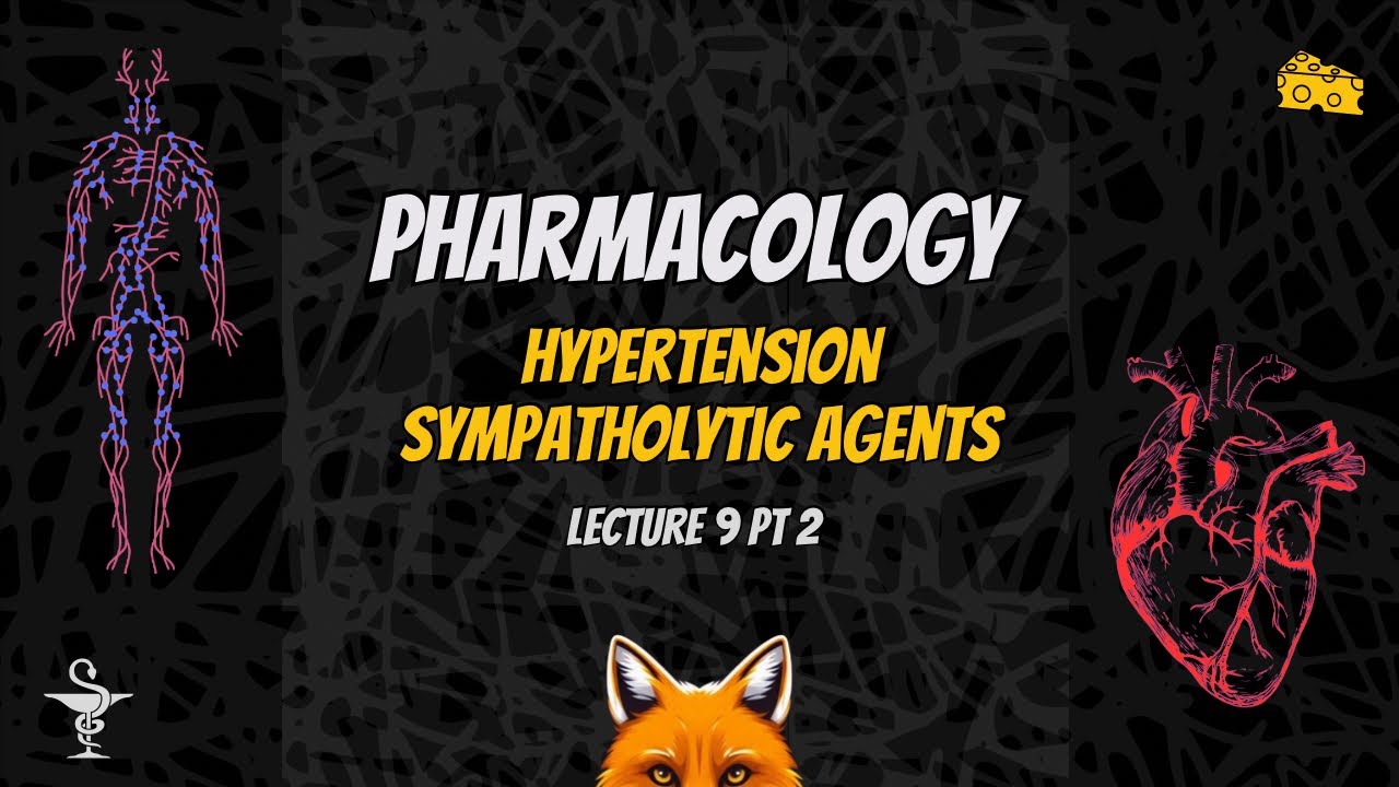 Pharmacology Lec 9 pt2 (Sympatholytic agents) - YouTube