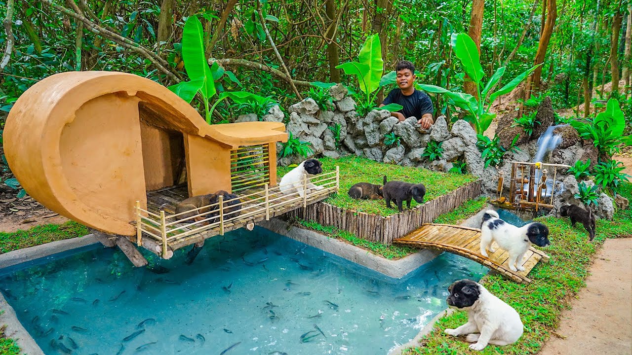 Rescue Abandoned Puppies Building Dog House Villa And Fish Pond For ...