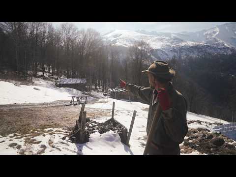 #202 Roof Trim Done, Garden Beds & New Chickens