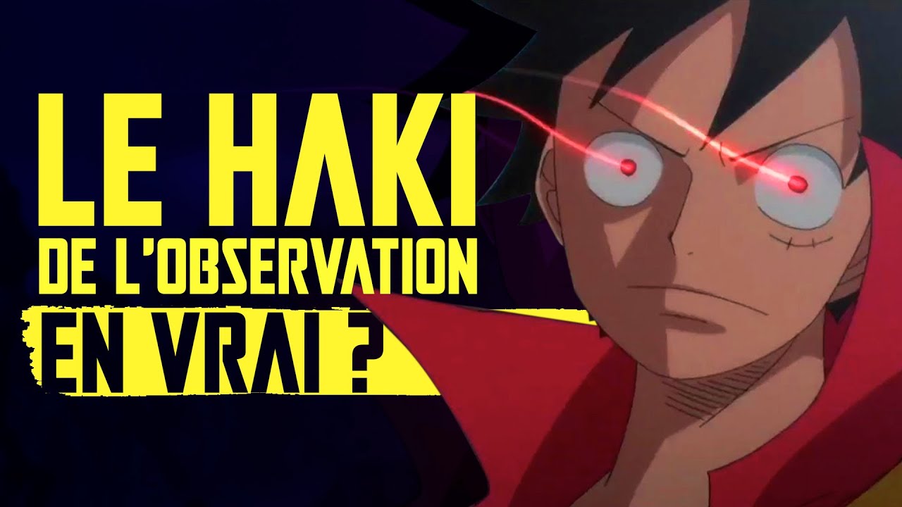 Le HAKI de l'OBSERVATION dans One Piece, en vrai, c'est possible ...
