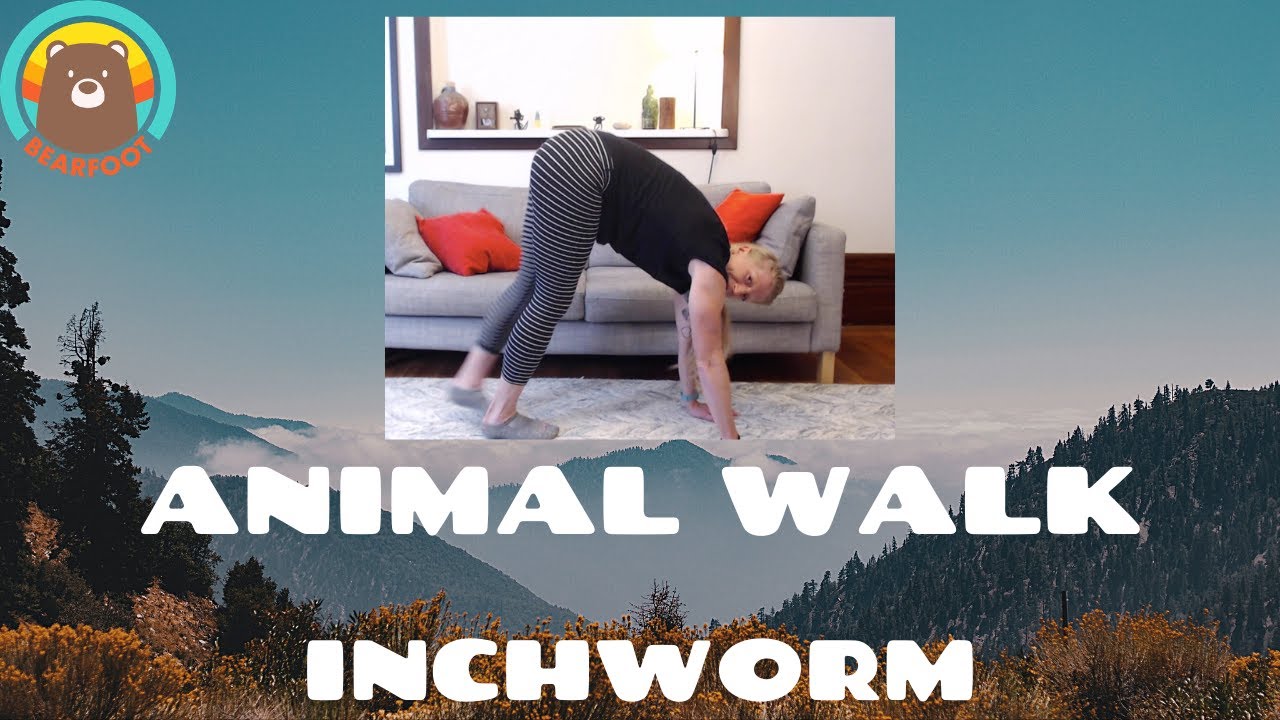 Animal Walk - Inchworm - YouTube