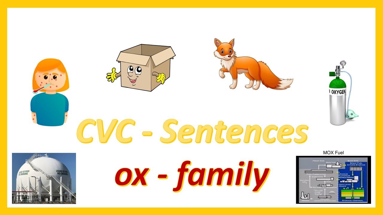 Phonics : CVC Sentences - ox Family - 10 Sentences in 3 Minutes - YouTube
