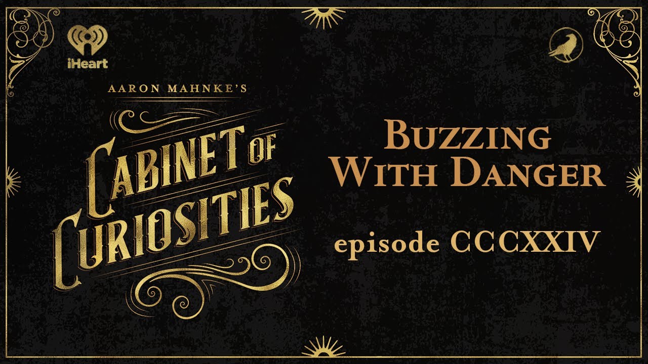 Ep 324: Buzzing With Danger | AARON MAHNKE'S CABINET OF CURIOSITIES ...