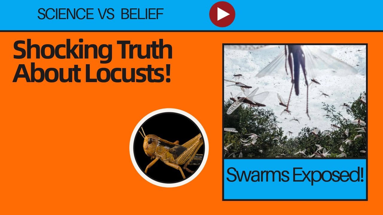 The Shocking Truth About Locust Swarms! Science Just Debunked ...