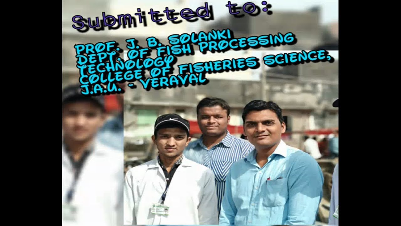 Dried Shrimp (College of Fisheries, Veraval, Gujarat) - YouTube