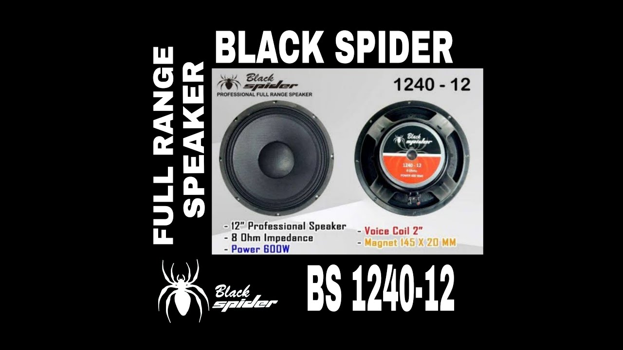 BLACK SPIDER 1240-12 (speaker full range) - YouTube