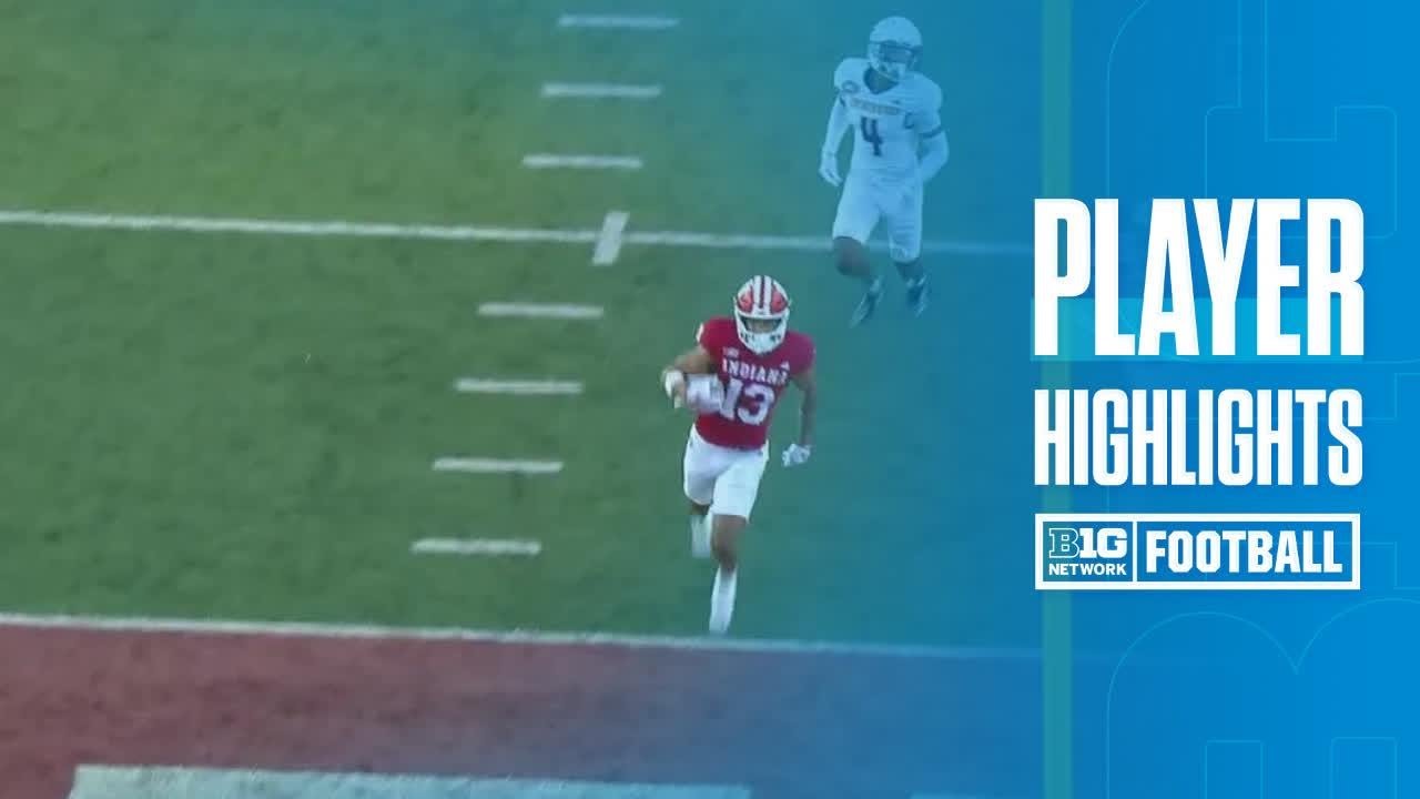 Elijah Sarratt Highlights vs. Western Illinois | Indiana Football | 09 ...