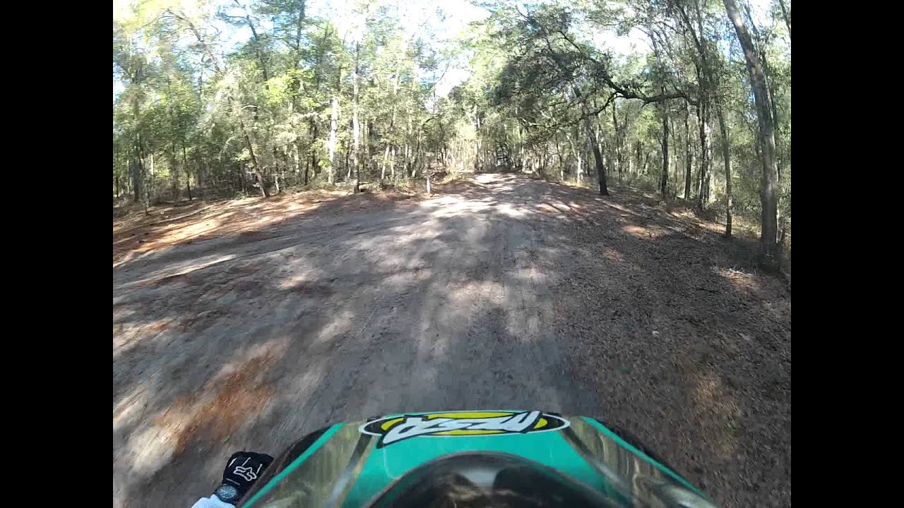 Ocala forest - wiregrass trail head - YouTube