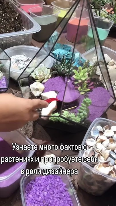 Мастер классы, флорариумы, комнатные растения Florarium-flo.ru - YouTube