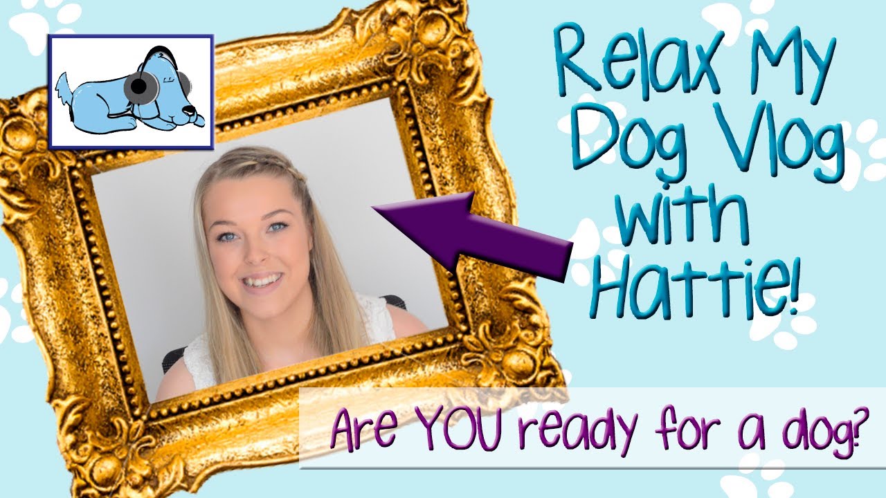 Are You Ready To Own A Dog? - YouTube