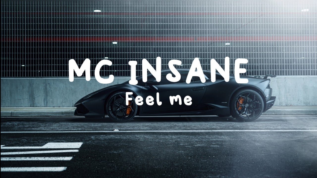 MC INSANE : FEEL ME ( lyrical video ) - YouTube