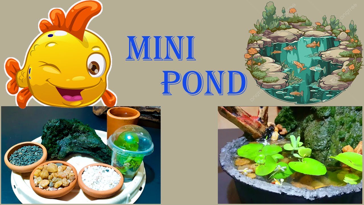 Simple DIY Mini Fish Pond || Indoor Natural Pond || Terrarium || - YouTube