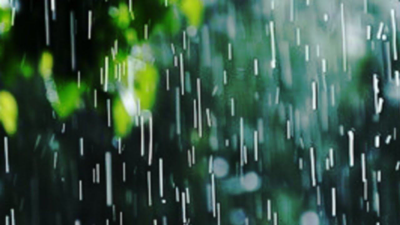 Relaxing rain and smooth sound for deep sleep, Freshness of Relief ...