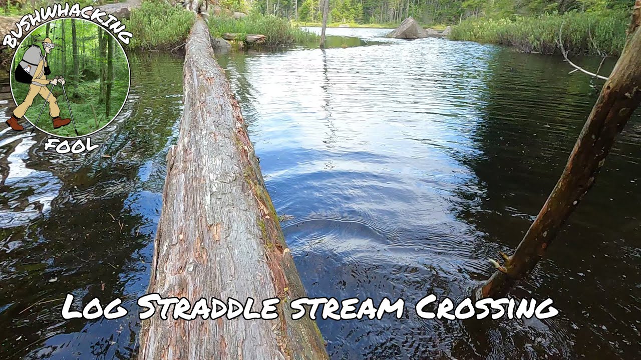 The Great Log Crossing of Middle South Pond Outlet | Five Ponds ...
