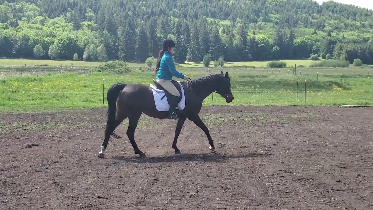 Addison Staley/SA Black Stones - Class #21 - YouTube