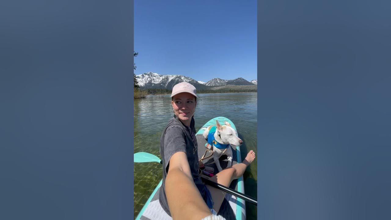 Let’s go to Lake Tahoe🏔️ #dogshorts #pets #dog #dogmom #dogowner # ...