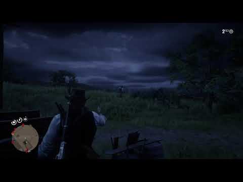 Red Dead Redemption 2  sore loser.