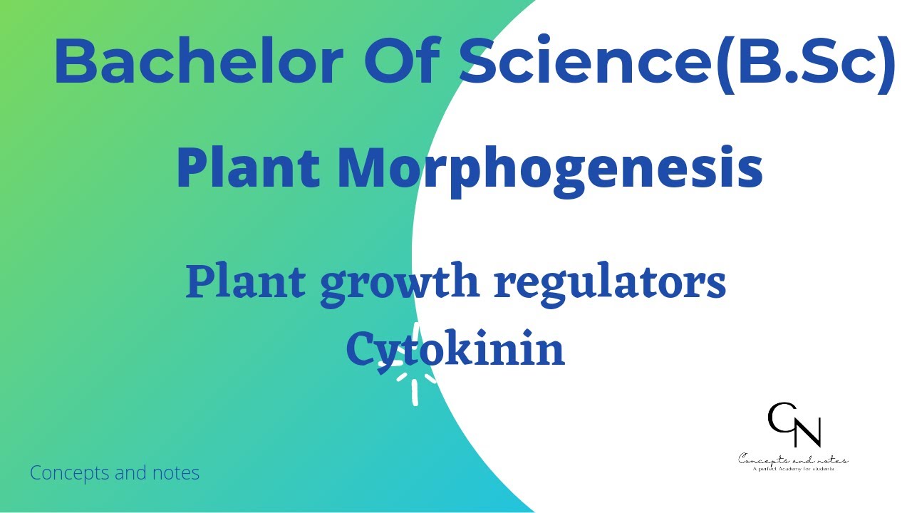 Cytokinin || Plant hormones || Concepts and notes || - YouTube