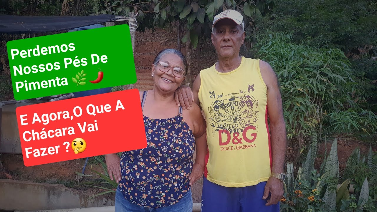 Perdemos Nossos Pés De Pimenta🌱🌶... E Agora, O Que A Chácara Vai Fazer ...