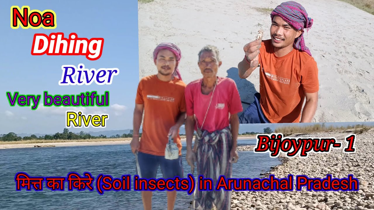 Mitti ka kire(Insect) Khojne Noa Dihing River main Arunachal Pradesh ...