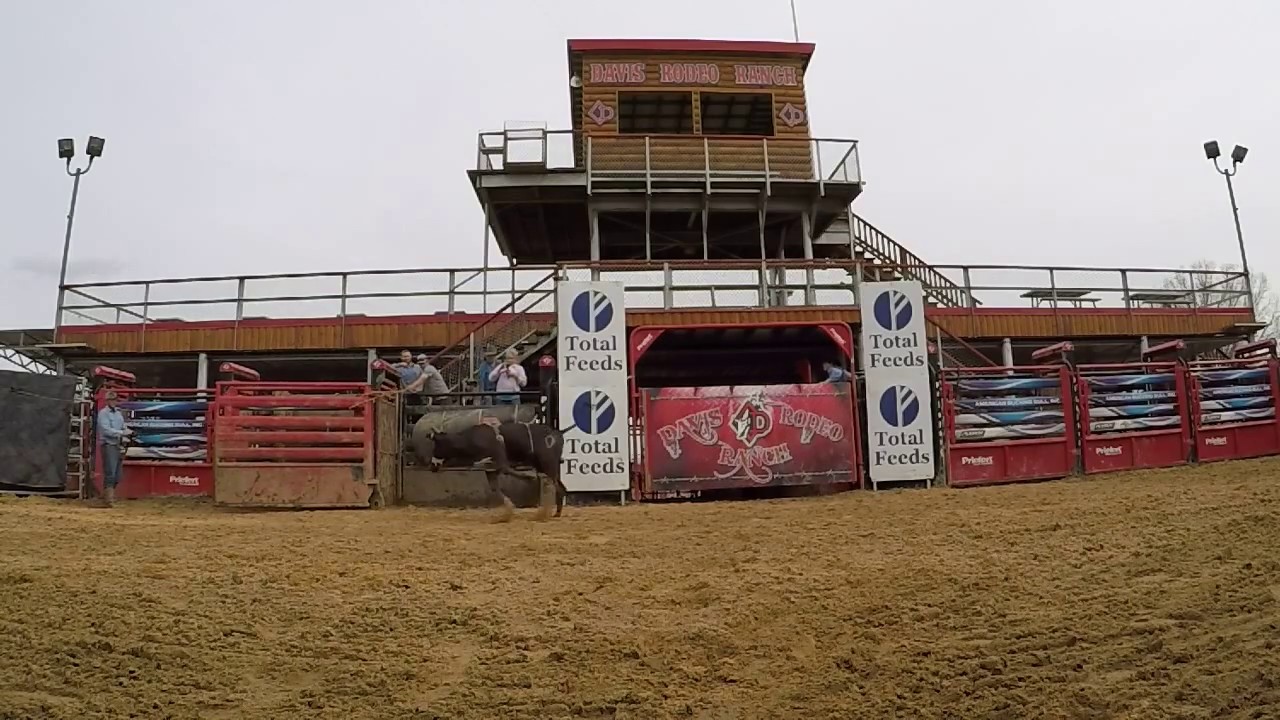 DAVIS RODEO 7140 - YouTube
