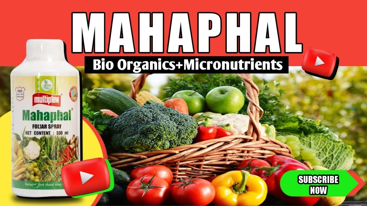 MAHAPHAL: फ़ल व सब्ज़ियों की पूरी सुरक्षा!! - Bio Organics and ...