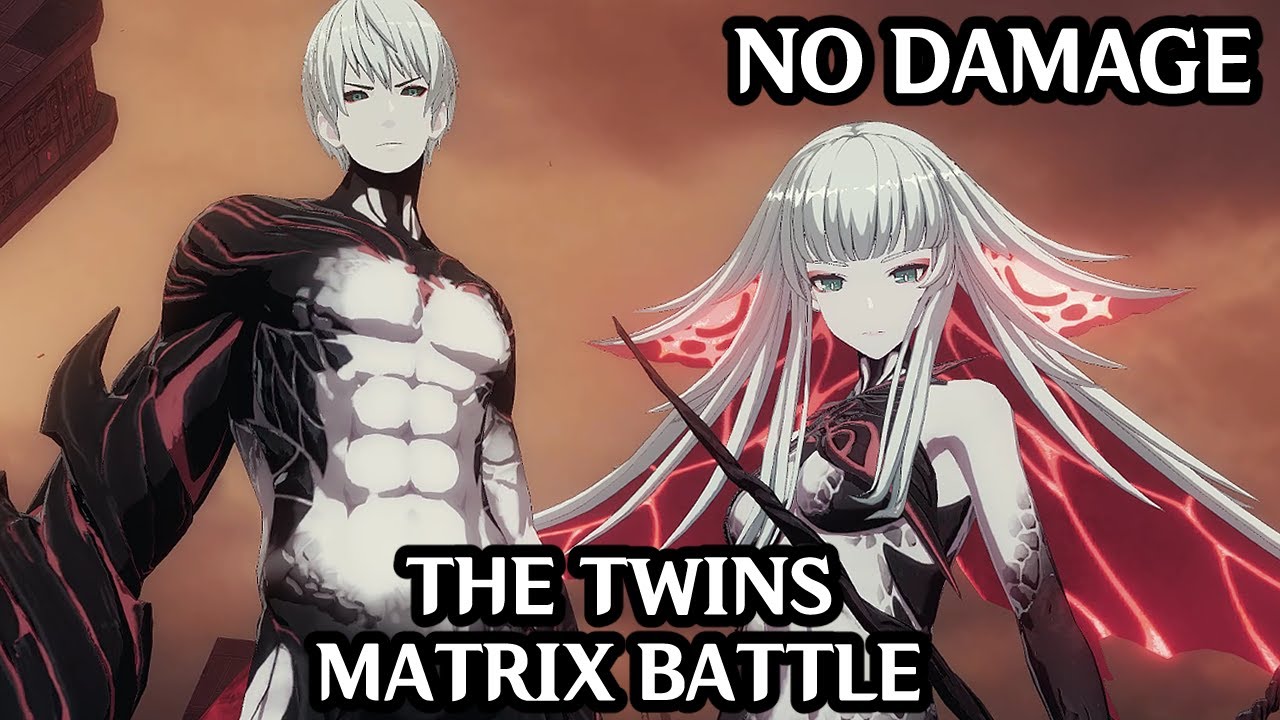 THE TWINS INSANE MATRIX BATTLE | NO DAMAGE【Punishing: Gray Raven】 - YouTube