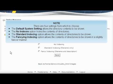 How to use the index manager - YouTube