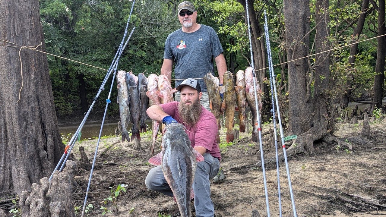 Bank Poles, Limb Lines, & GIANT Bluegill BREAM!! (Bait, Tips, & Tactics ...