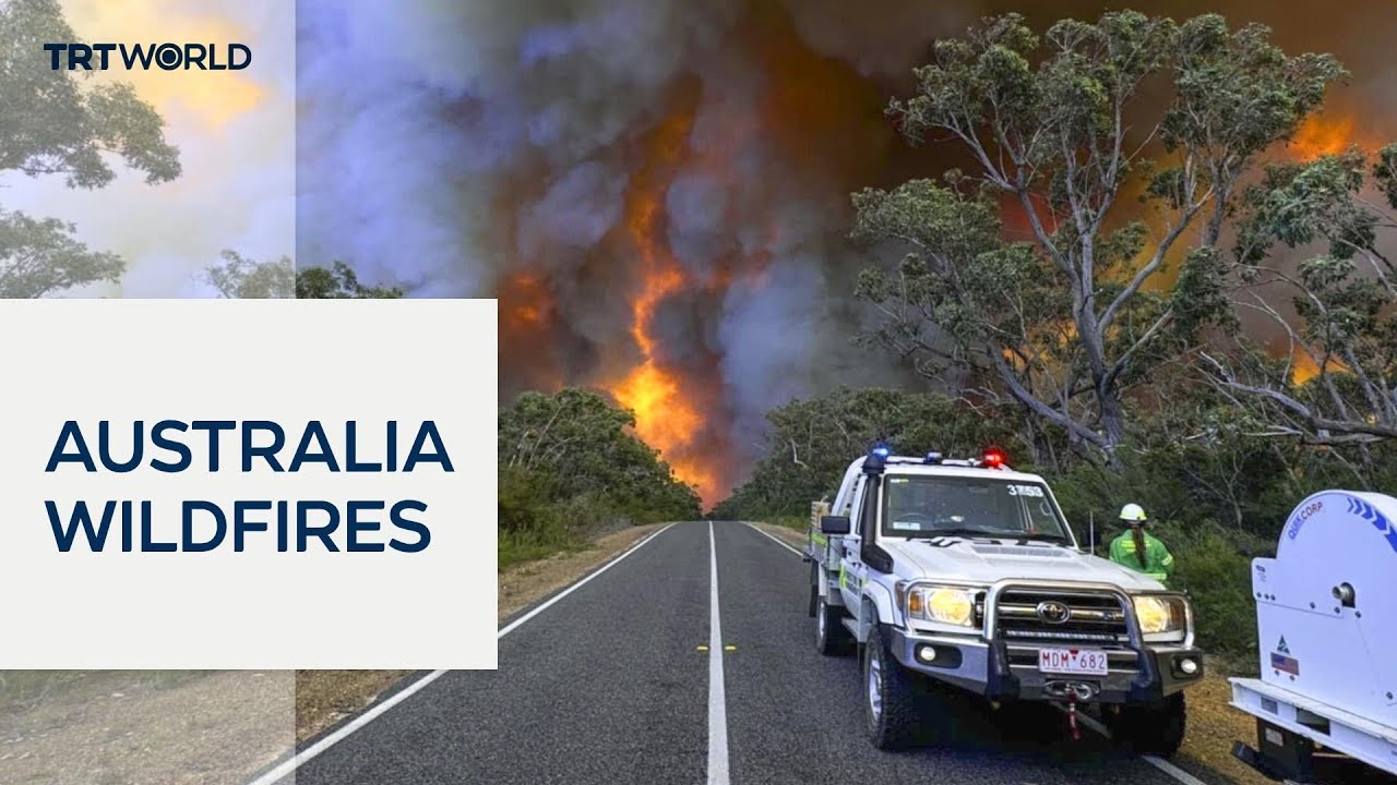 Heatwave sparks warnings of potentially devastating bushfire in ...
