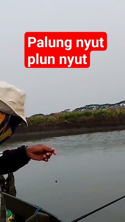 Menyenangkan sekali mancing di sini ‼️ Umpan di lempar langsung di makan ikan - YouTube