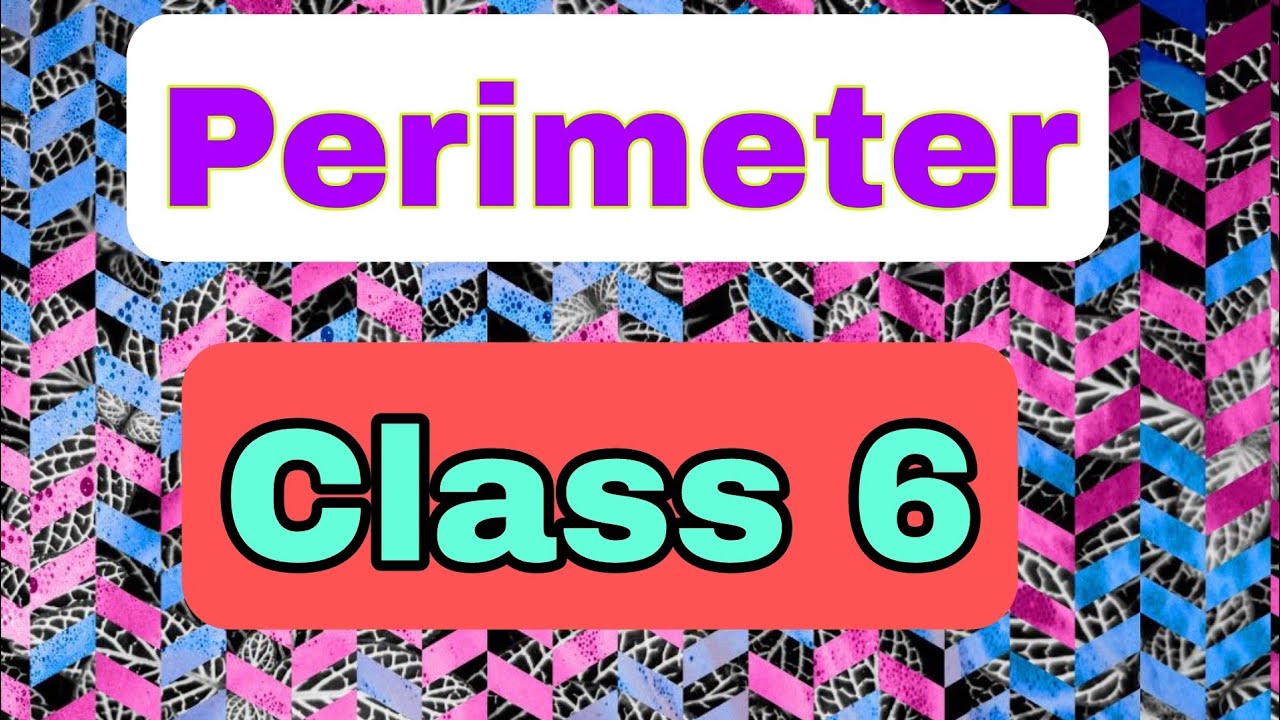 Perimeter | Class 6 | Maths | Animation in English | Proton Hub - YouTube