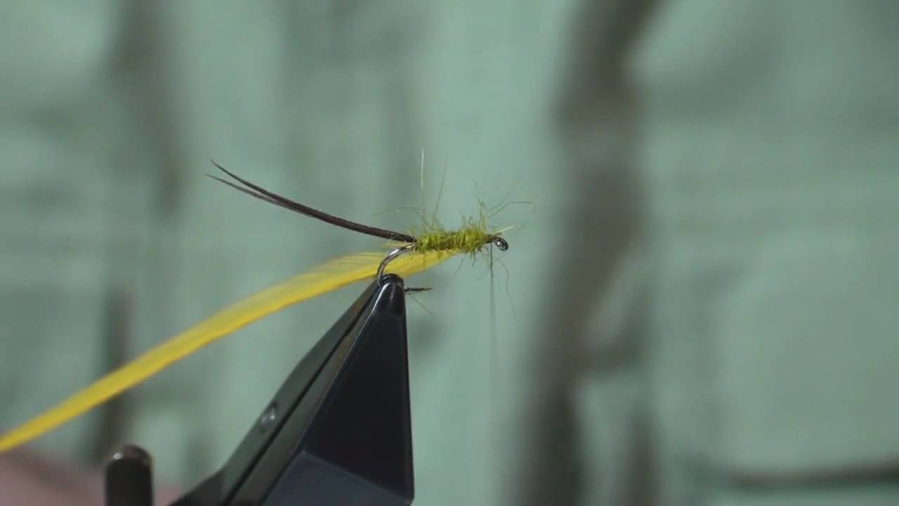 Chris Reeves' Soft Hackle Irish Mayfly - TPO Guest Fly # 2 - YouTube