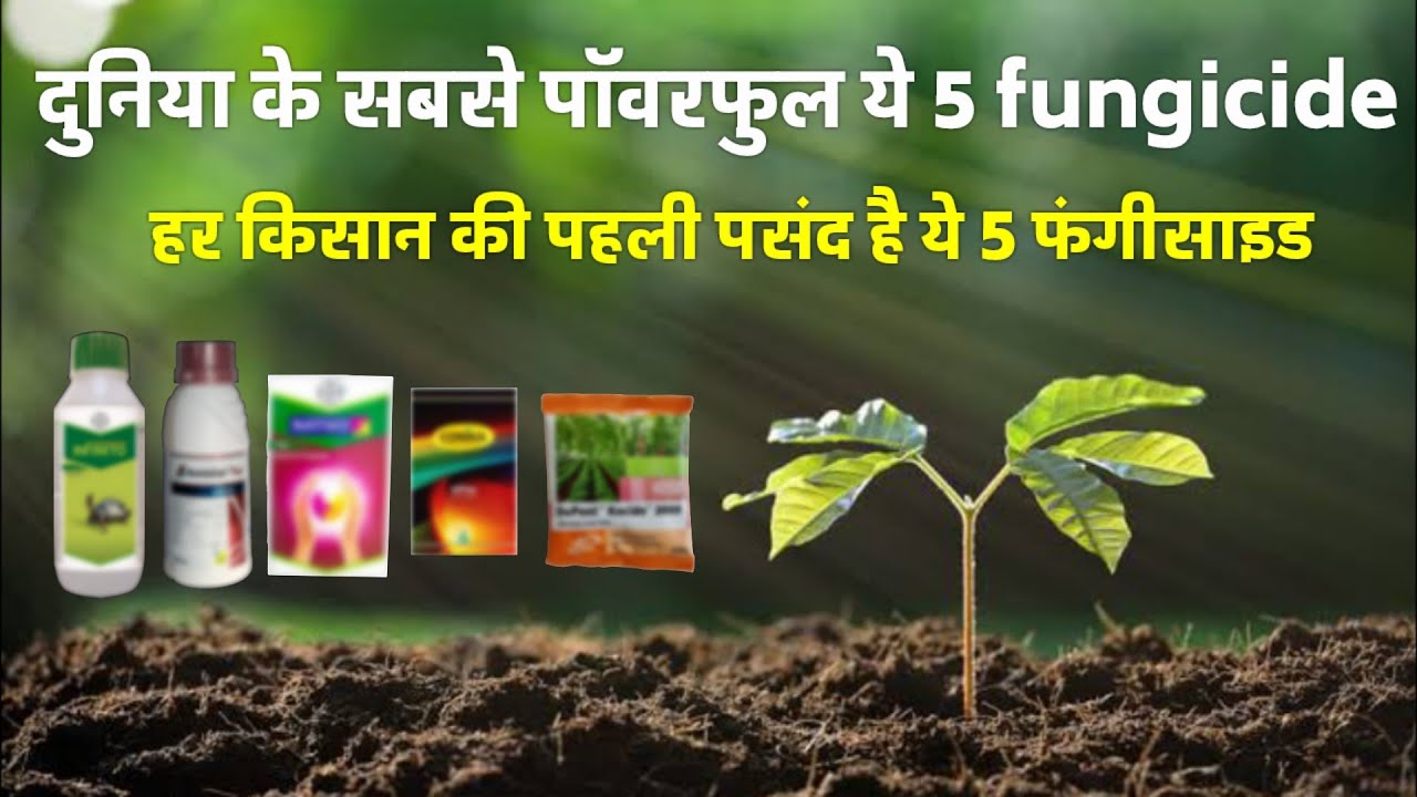 दुनियां के सबसे पॉवरफुल ये 5 fungicide | nativo fungicide | conika ...